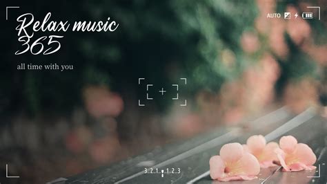 숲속에서 마음의 안정을 위한 수면 힐링 음악 낮잠 30분 음악 Youtube