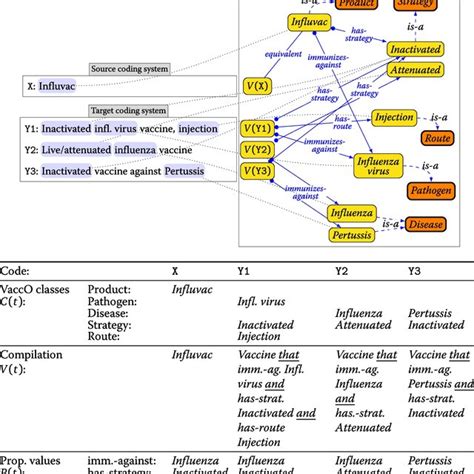 Example Compilation Of The Textual Descriptors T Of Vaccine Codes X