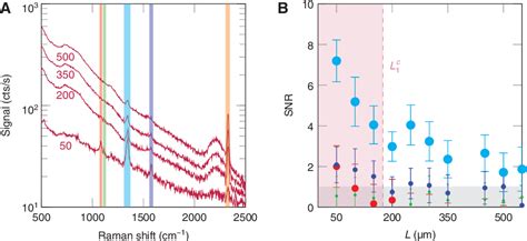 Figure 1 From Waveguide Excitation And Collection Of Surface Enhanced