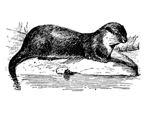 Our Story Dassai Blue