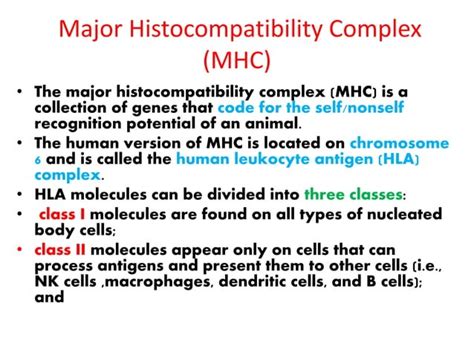 T Cell Interactins With Periodntal Diseases Pptx