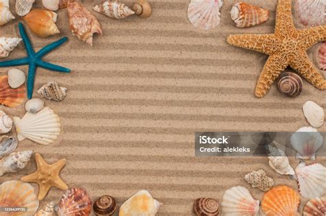 줄무늬 모래 위에 는 조개와 불가사리가 놓여 있습니다 공간을 복사합니다 0명에 대한 스톡 사진 및 기타 이미지 0명 관광