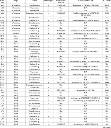 Characterization And Identification Of The Microalgae Strains Along Download Scientific