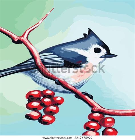 Crested Tree Swift Over 2 Royalty Free Licensable Stock Illustrations And Drawings Shutterstock
