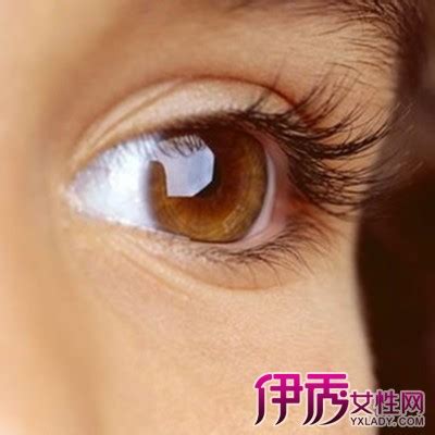 左右眼皮跳的真正意义图左右眼皮跳的真正意义是什么 不同时间点的含义也不一样 3 伊秀星座 yxlady