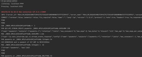 Github Josephwoodwardnats Logger Simple Tcp Proxy To Visualise Nats