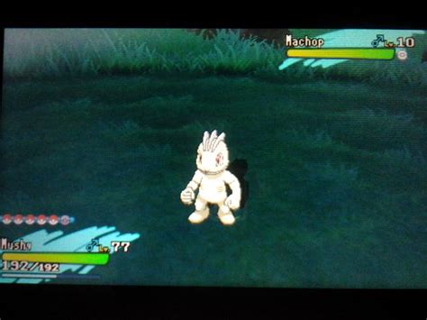 [7] Full Odds Random Encounter Shiny While Looking For Necrozma R Shinypokemon