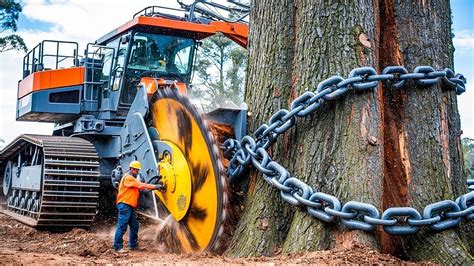 Extreme Dangerous Chainsaw Machines Fastest Tree Cutting Monster Stump Removal 7 YouTube