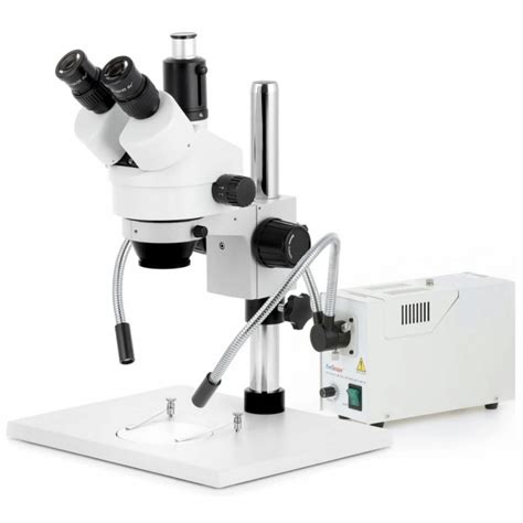 Buy Amscope Sm 1ty Fod Trinocular Microscope 7x 90x Magnification Prime Lab Med