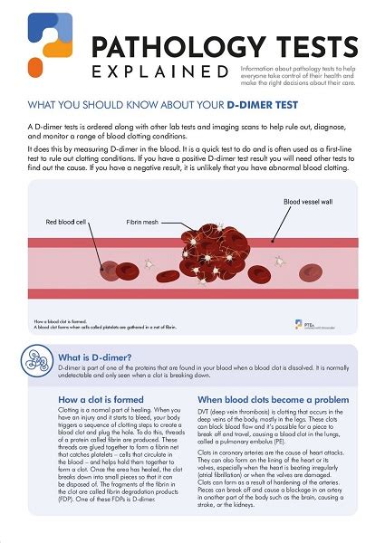 D Dimer Pathology Tests Explained