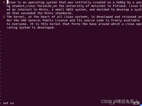 Linux基本命令的使用（2）linux查找后缀为c的文件 Csdn博客