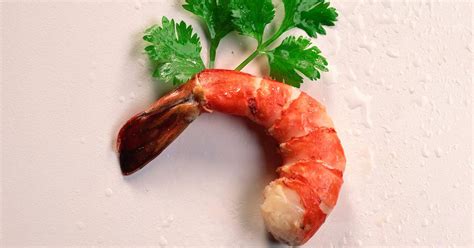 Microalgae Shrimp A Plant Based Alternative To Seafood