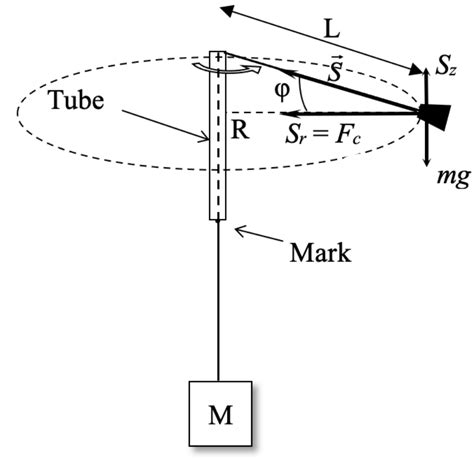 Solved Draw A Free Body Diagram For The Hanging Mass 𝑀