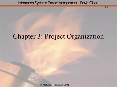 Project Organization In Information Systems Management