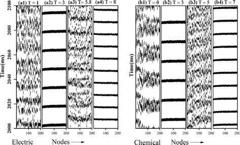 Space Time Firing Raster Plots Of Neuronal Membrane Potentials Of The Download Scientific