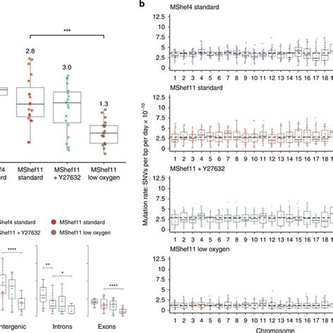 Mutation Rate And Genomic Distribution Of Single Nucleotide Variant Download Scientific Diagram