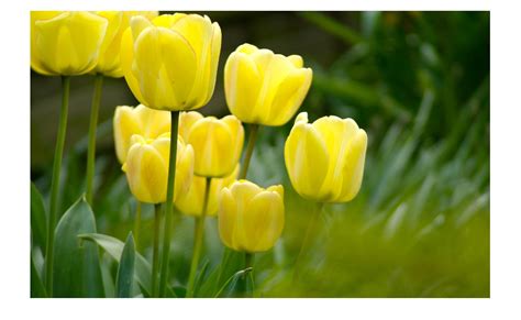 Matlab调hsv仅在rgb或hsv图像中增加黄色饱和度(matlab) Csdn博客 Matlab调hsv仅在rgb或hsv图像中增加黄色饱和度(matlab) Csdn博客