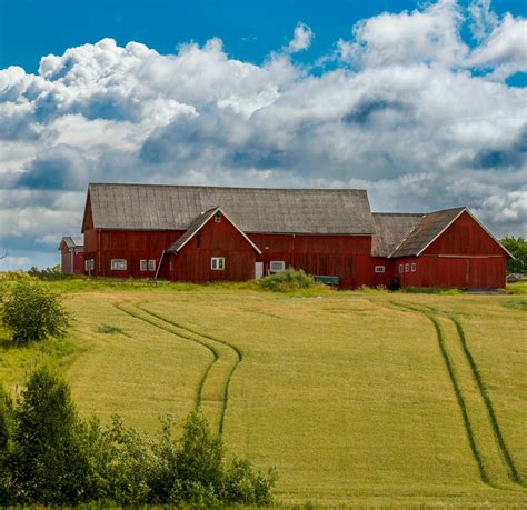 Jönköping 건축 경작지 경치 경치가 좋은 계절 광대 한 들판 구름 그림 같은 나무 농가 농가 외관 농부 농업 농업 건물 농업 경관 농장