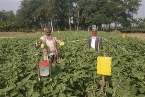 কৃষি সময় কৃষি বিষয়ক বাংলা নিউজ পেপার