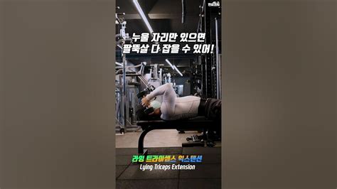 [초보자 운동 가이드] 라잉 트라이셉스 익스텐션 팔운동 삼두운동 덤벨운동 Youtube