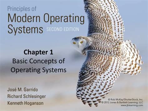 PPT Chapter Basic Concepts Of Operating Systems PowerPoint Presentation ID