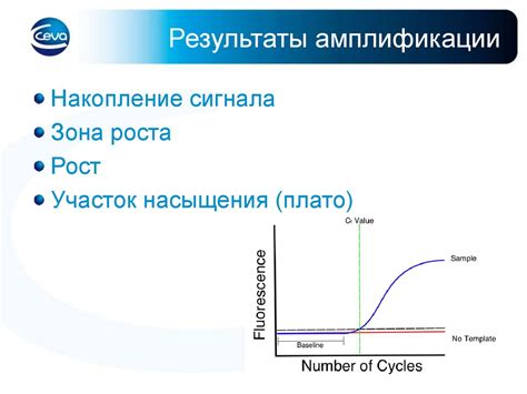Полимеразная цепная реакция. Теория и практика - презентация онлайн
