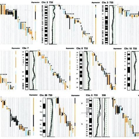 Dna Copy Number And Mrna Expression Level Shown From Left To Right Are
