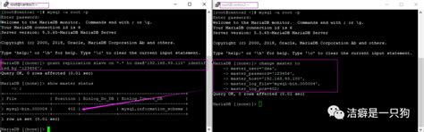 手把手教你搭建 MySQL 主从复制经典架构一主一从主主一主多从多主一从 腾讯云开发者社区 腾讯云