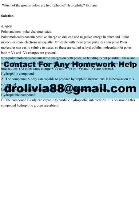 Which Of The Groups Below Are Hydrophobic Hydrophilic Explain Pdf Chemistry Science