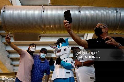 Billy The Marlin Team Mascot Photos And Premium High Res Pictures Getty Images