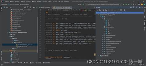 数据库应用实践大作业：数据库应用系统的开发数据库大作业 Csdn博客