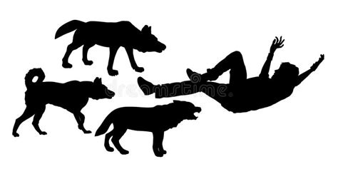 Male Wolf Chasing Stock Illustrations 5 Male Wolf Chasing Stock