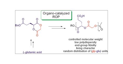Organo Catalyzed Ring Opening Polymerization Of A 14 Dioxane 25 Dione Deriving From Glutamic