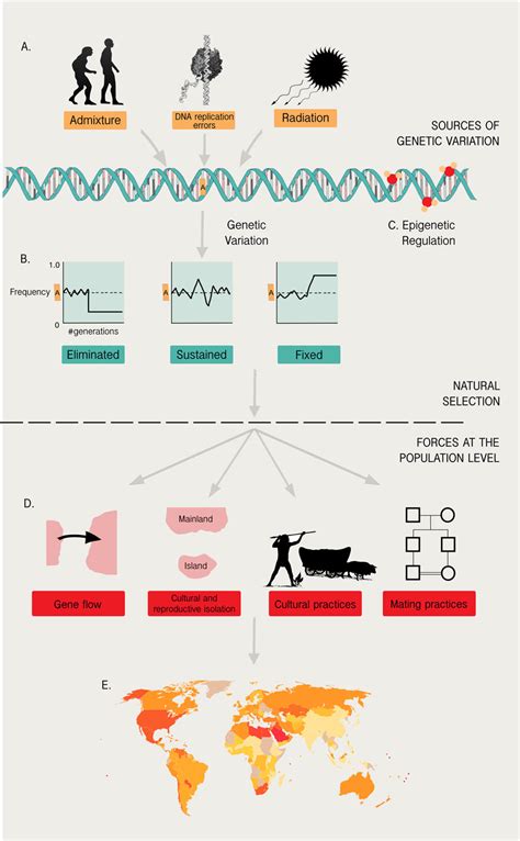 Genetic Predisposition To Disease Semantic Scholar
