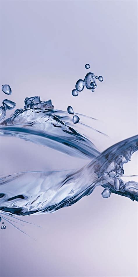 Обои на рабочий стол Животные Рыбы 321389 для ПК