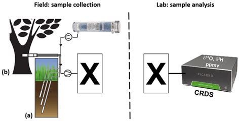 Pde Based Simulations And Turbulent Flows Using Autoregressive