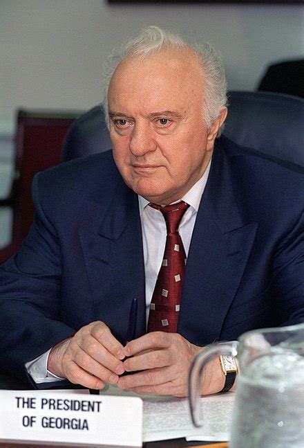 საქართველოს კონსტიტუცია ვიკიპედია