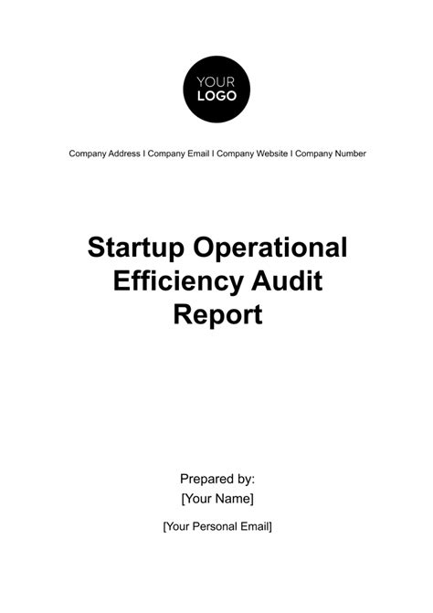 Startup Operational Efficiency Audit Report Template Edit Online And Download Example