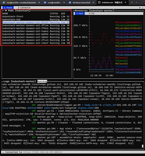 k8s 通过 kubeshark 体验 大白鲨 wireshark tcpdump 监控 kubernetes 集群 csdn博客