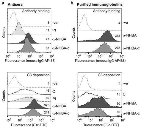 Antibody Binding And Complement Activation As Measured By Fragment Download Scientific Diagram