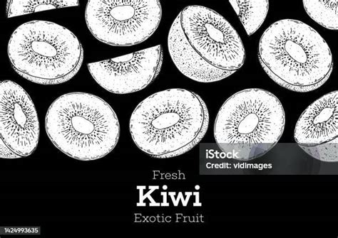 키위 과일 손으로 그린 프레임 스케치 스타일입니다 벡터 그림입니다 디자인 패키지 브로셔 일러스트레이션 손으로 그린 키위 과일 디자인 템플릿 유기농 신선한 음식 벡터 일러스트