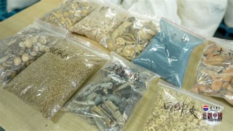 张修成研制出的纯中药制剂成为牛皮癣的克星 凤凰网视频 凤凰网