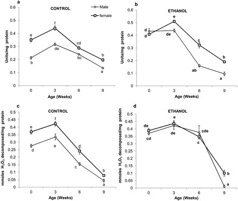 Sex Difference In The Activity Of Antioxidant Enzymes At Different Ages Download Scientific
