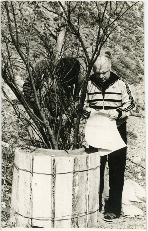 Iverieli მიხეილ მესხი