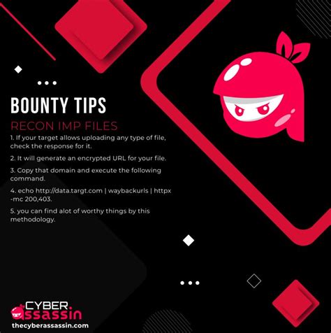 Cyber Assassin On Linkedin Cyber Security Cybersecurity Bug Bugs Bugbounty Cyberassassin