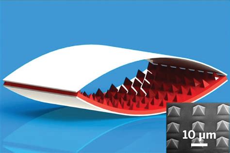 2015 Chinese Academy Of Sciences