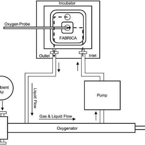 Schematic Of Fabrica Perfusion Setup With Fabrica Bioreactor