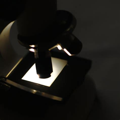 How Does A Light Microscope Work Exploring The Components And Functionality The Enlightened