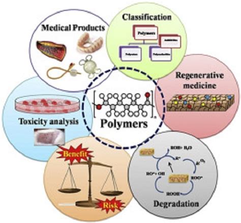 Call For Papers Biopolymers Conference Biopolymers Conferences Biopolymers Meeting
