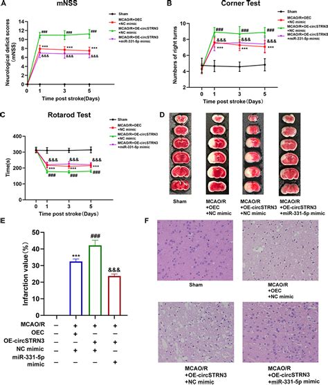 M1 Microglia Derived Exosomes Promote A1 Astrocyte Activation And Aggr
